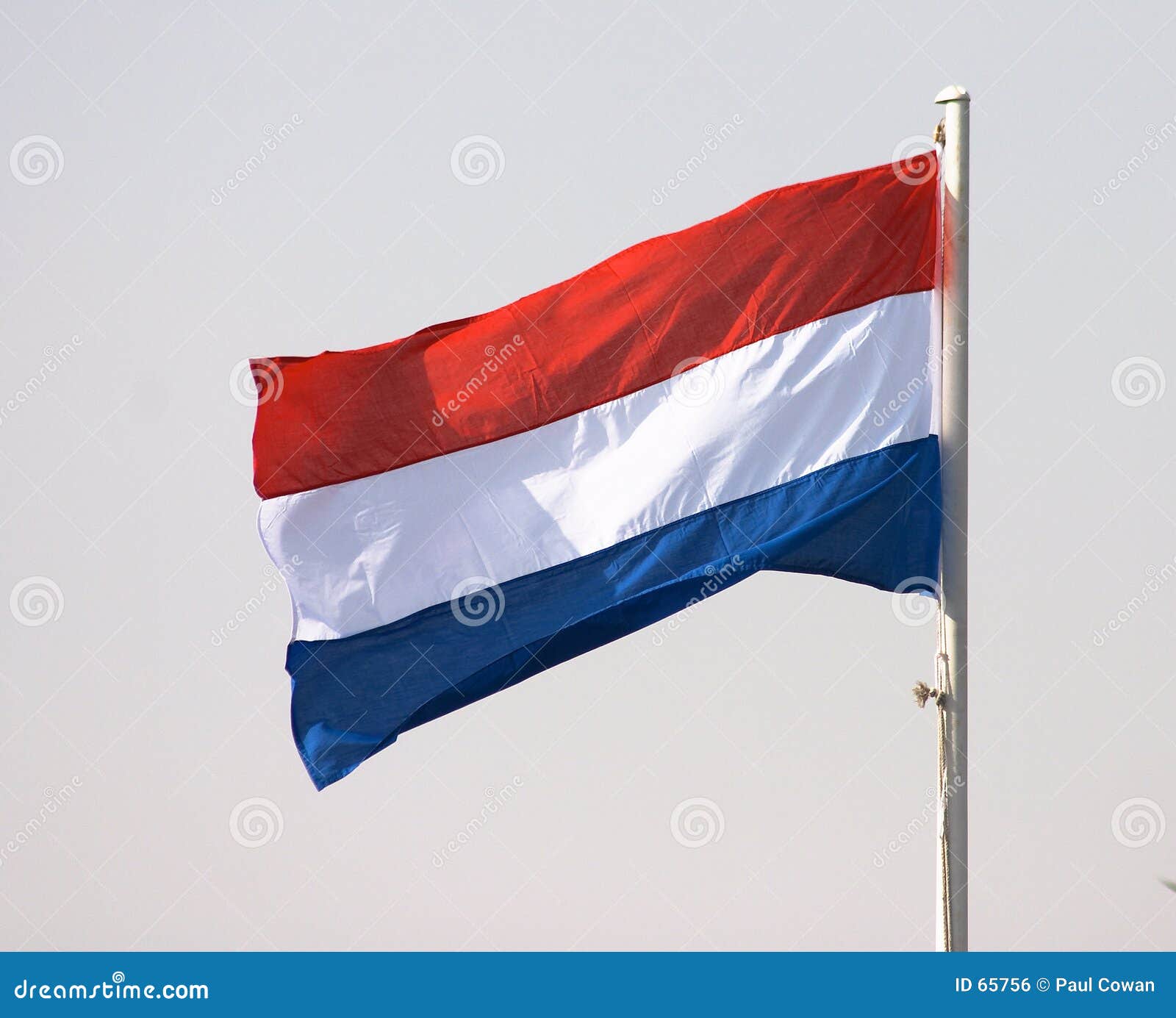 Dutch flag stock photo. Image of union, white, banner, dutch - 65756