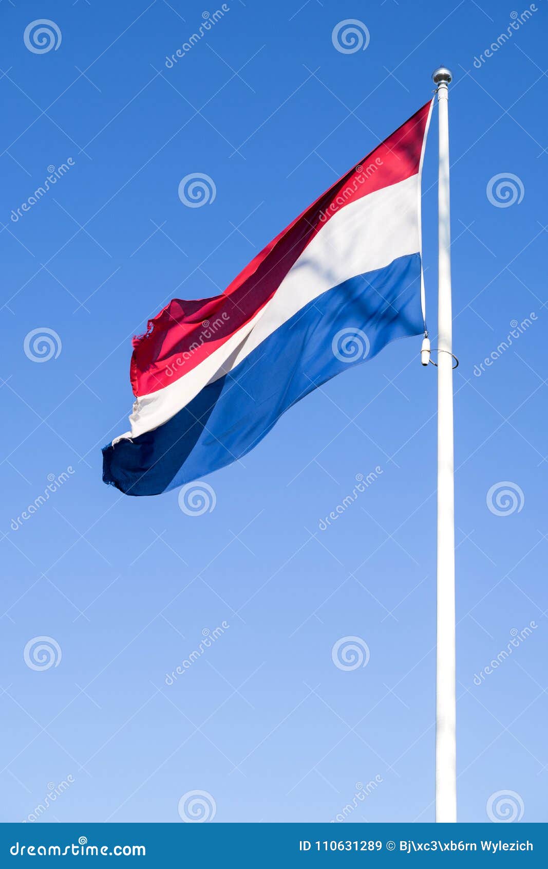 Dutch flag stock image. Image of netherlands, banner - 110631289
