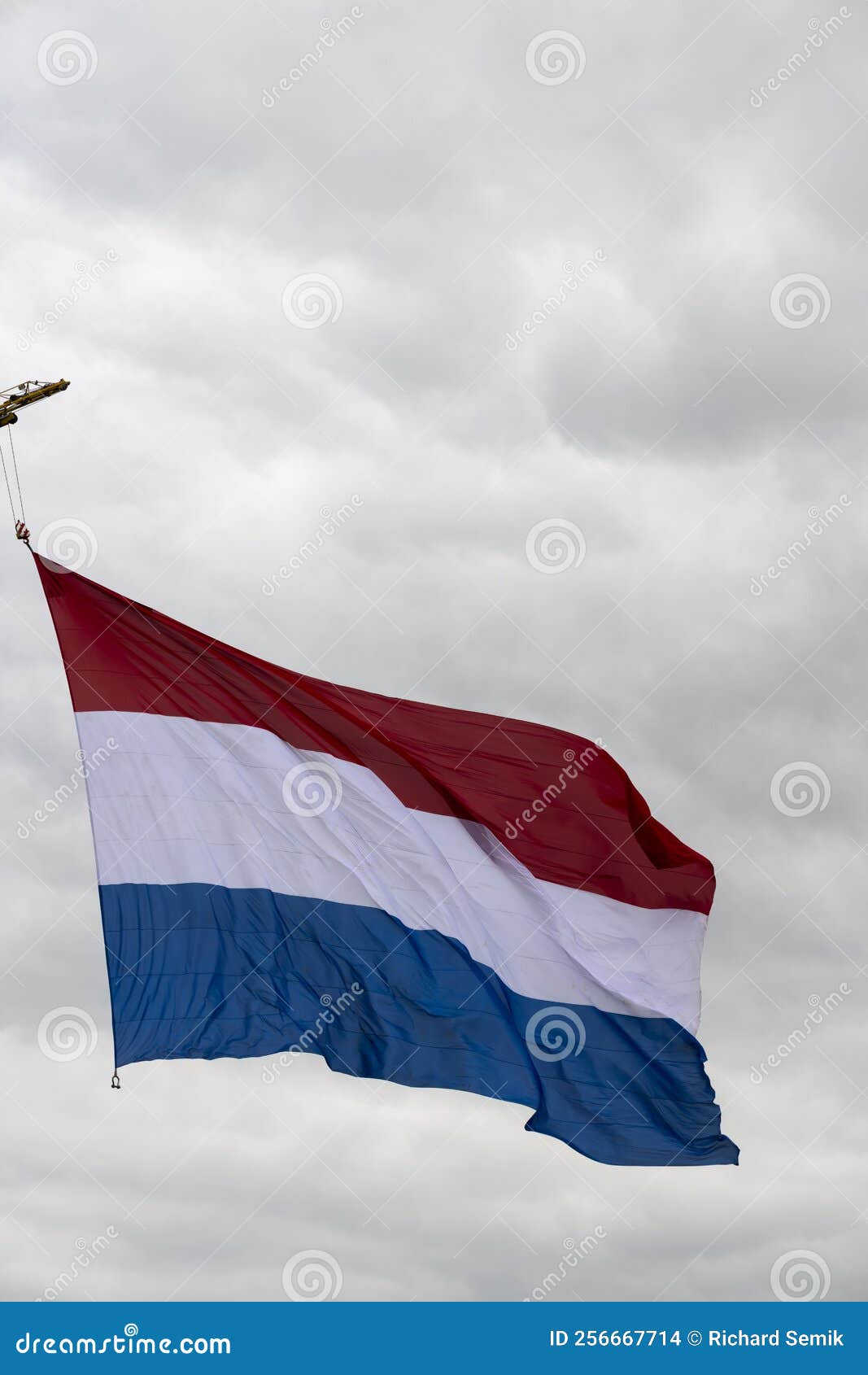 Dutch Flag Hoisted on a National Holiday Stock Photo - Image of white ...