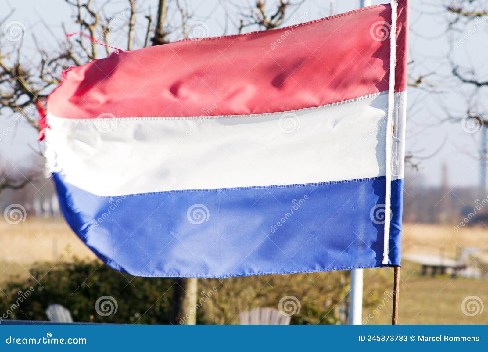 Dutch Flag Waving in the Wind Stock Image - Image of arnhem, tradition ...