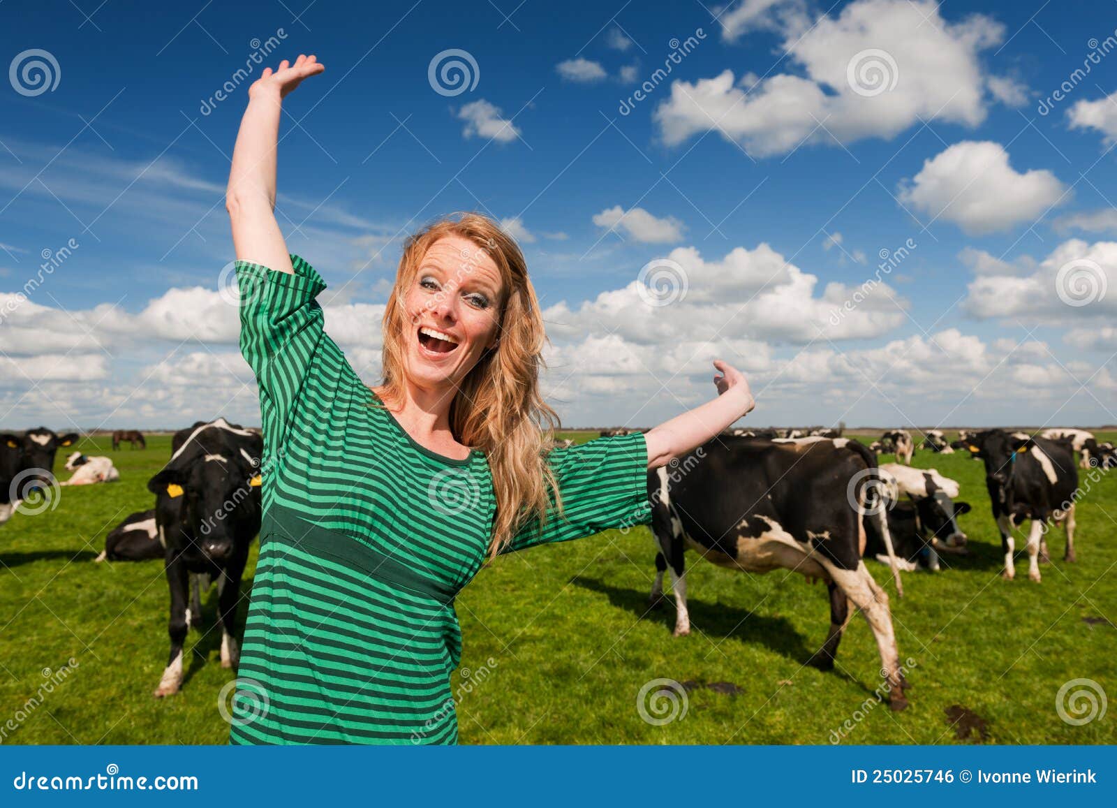 Dutch Girl With Laptop In Field With Cows Stock Image | CartoonDealer ...