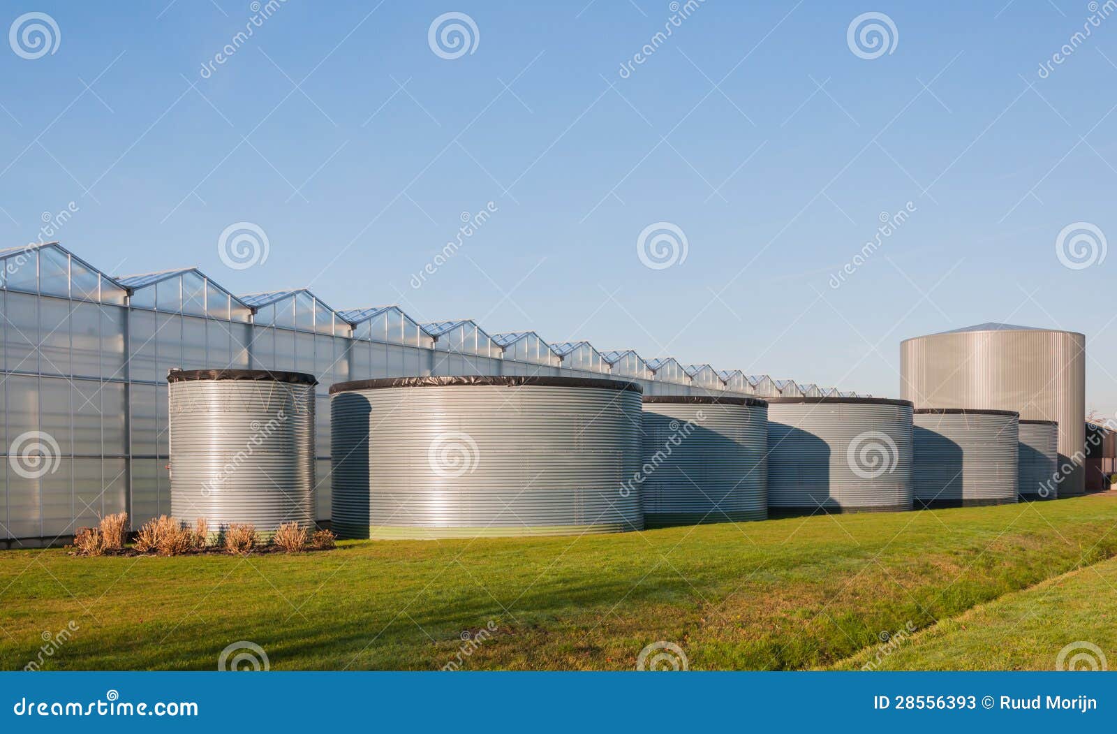 Dutch Greenhouse Complex with a Series of Small and Large Liquid Stock ...