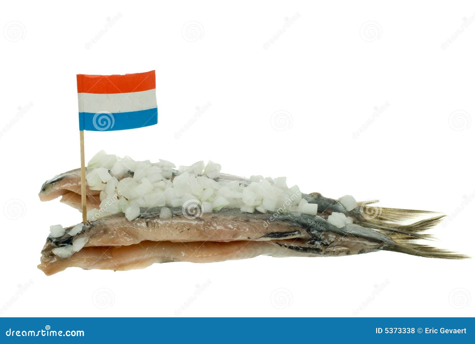 Dutch herring stock photo. Image of white, meal, delicacy - 5373338