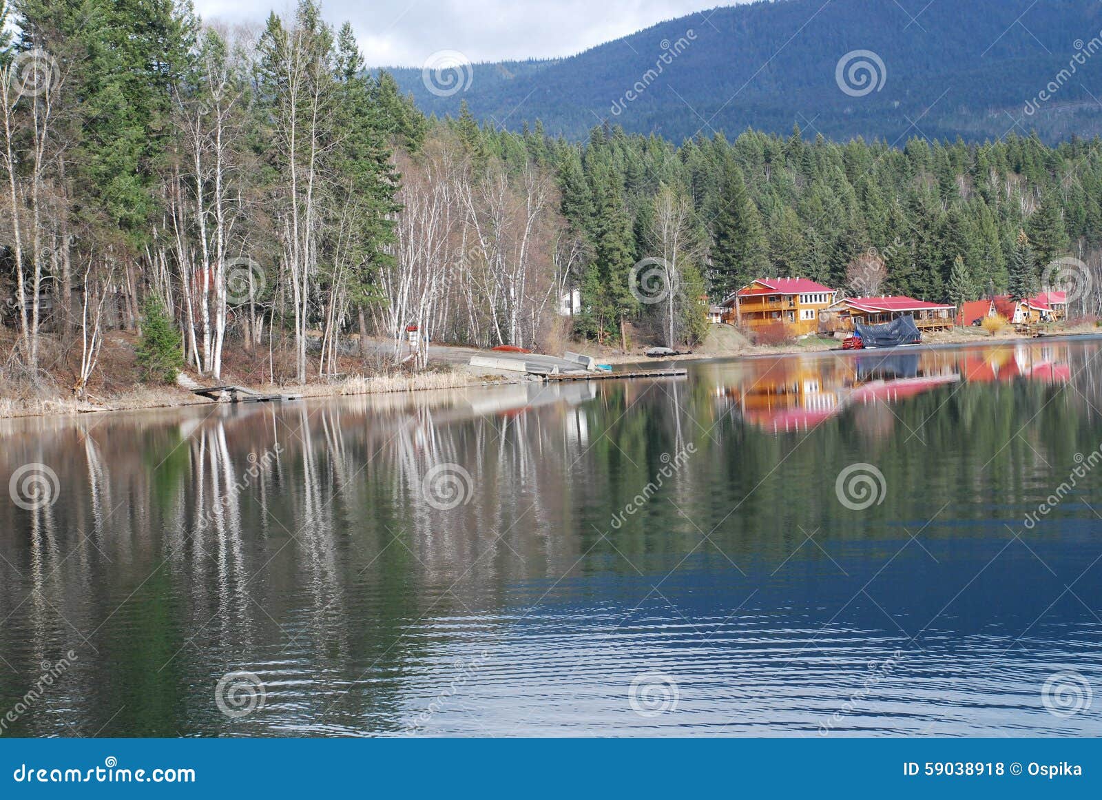 Dutch Lake BC stock photo. Image of northern, north, logging - 59038918