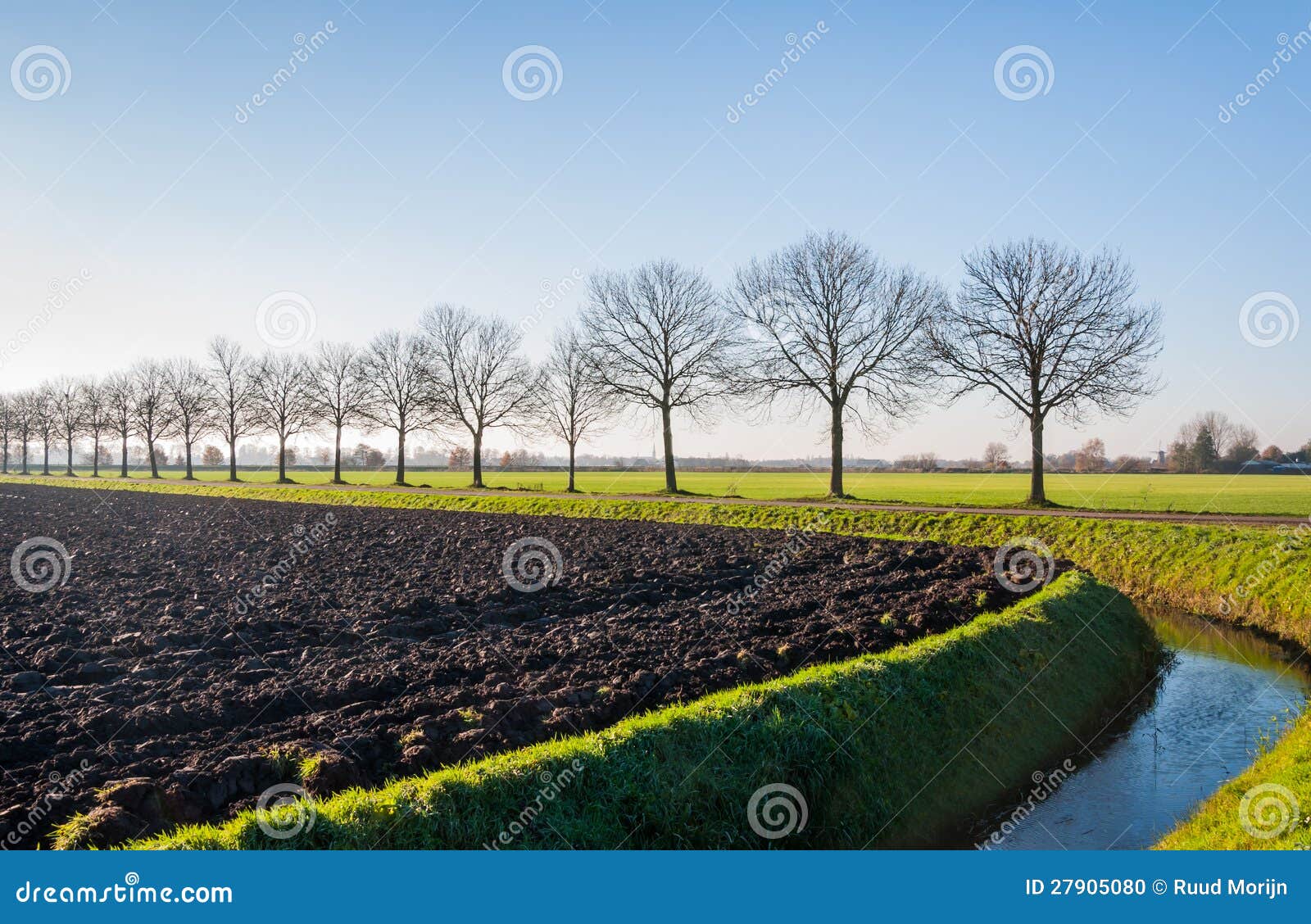 Dutch landcape in autumn stock photo. Image of land, bare - 27905080