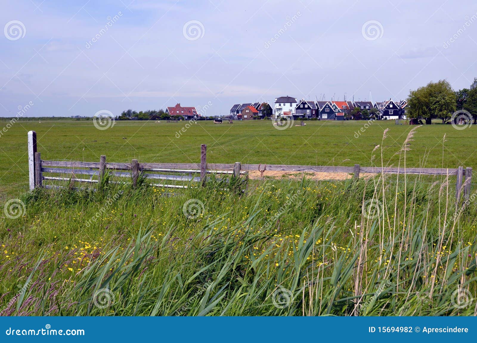 Dutch landscape stock photo. Image of netherlands, roofs - 15694982
