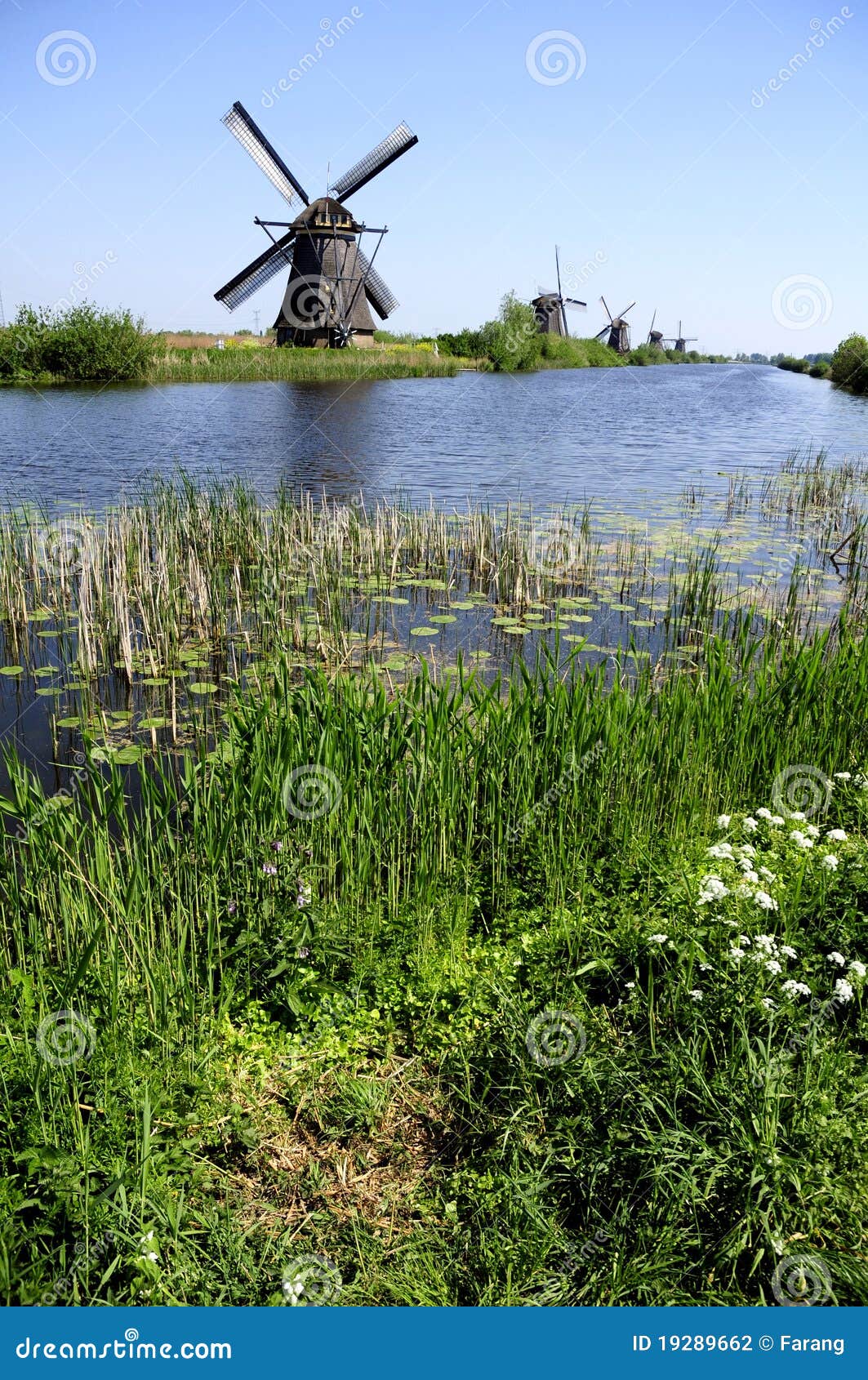 Dutch landscape stock photo. Image of dutch, grass, turbine - 19289662