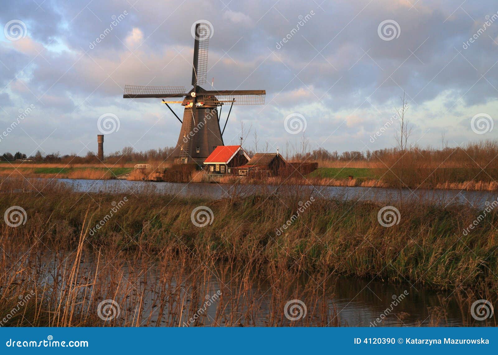 Dutch landscape stock photo. Image of alblasserdam, dusk - 4120390
