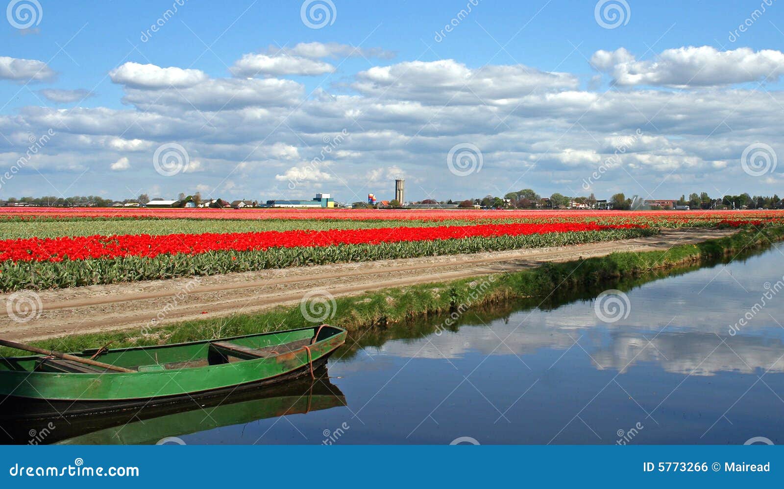 Dutch landscape stock photo. Image of canal, europe, holland - 5773266