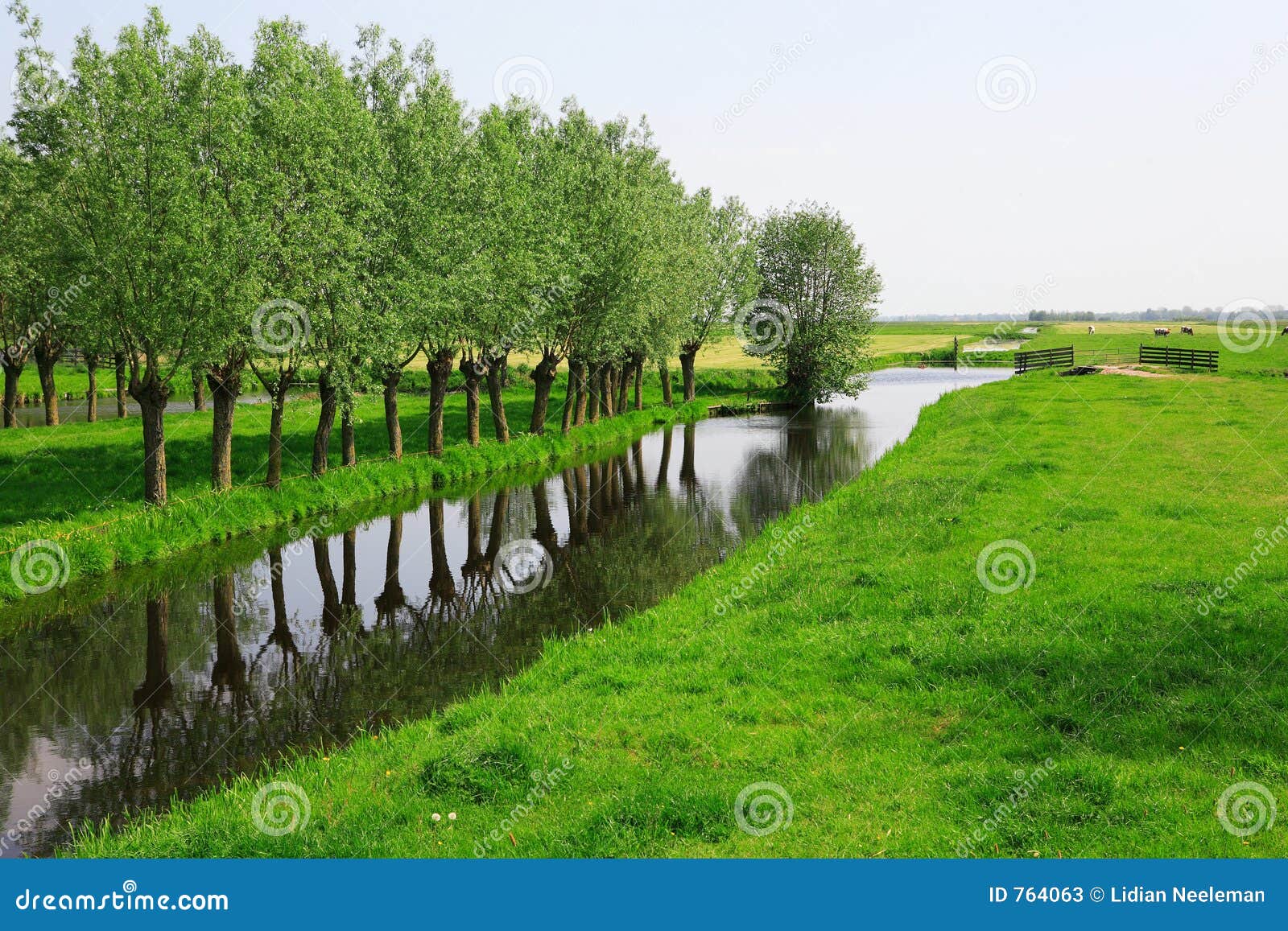 Dutch landscape stock image. Image of rural, outback, green - 764063