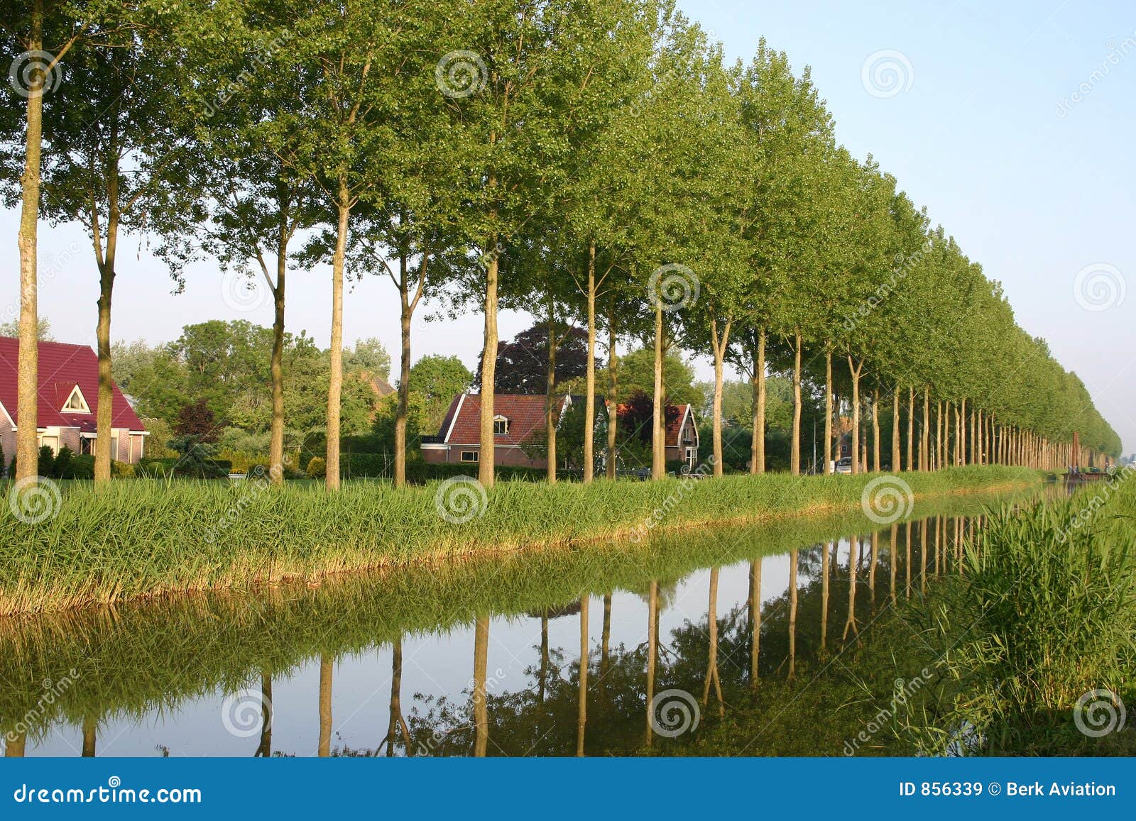 Dutch Landscape stock image. Image of dutch, dijk, river - 856339