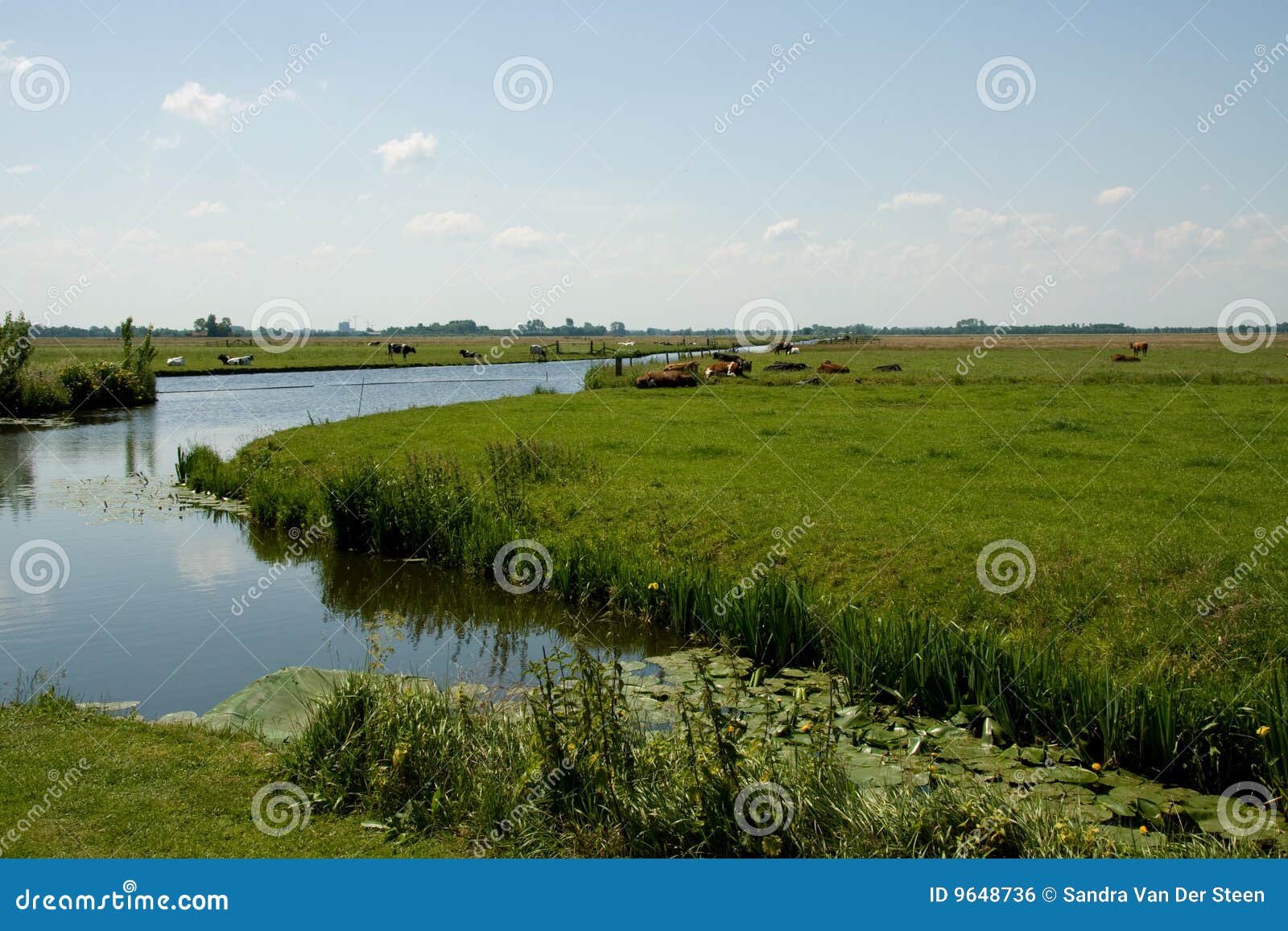 Dutch landscape stock photo. Image of province, sunshine - 9648736