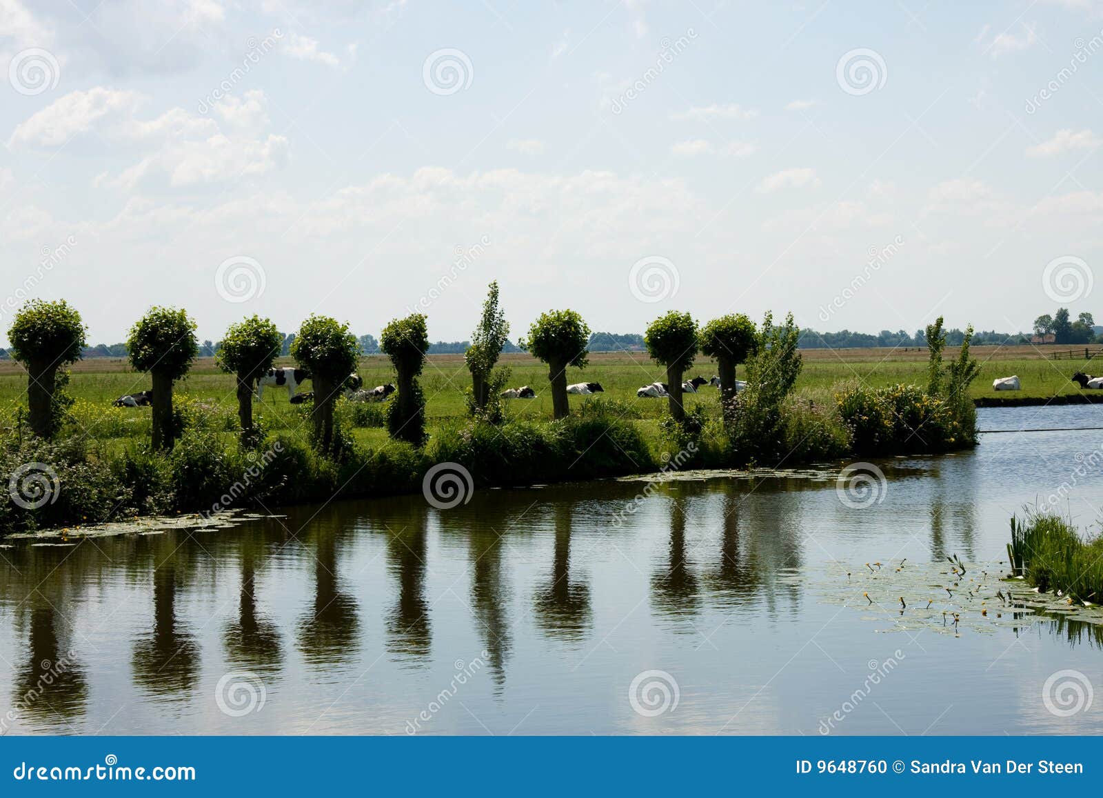 Dutch landscape stock photo. Image of landscape, scene - 9648760