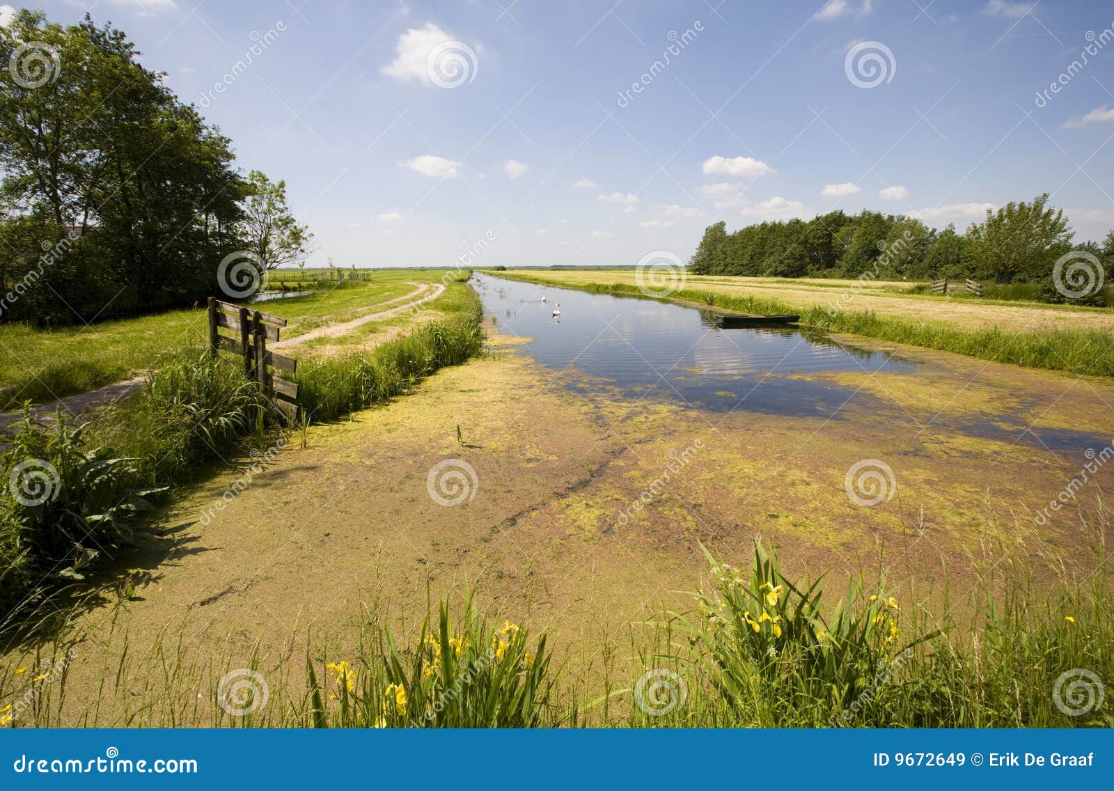 Dutch landscape stock image. Image of idyllic, plain, randstad - 9672649