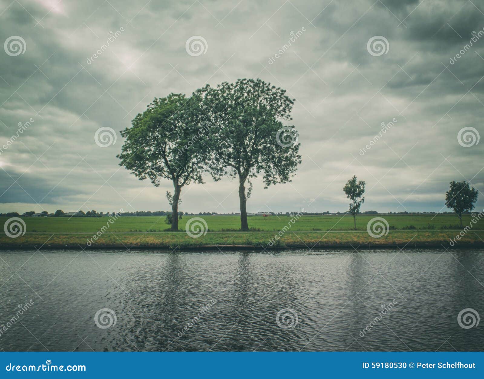 Dutch landscape stock photo. Image of lonely, trees, dutch - 59180530