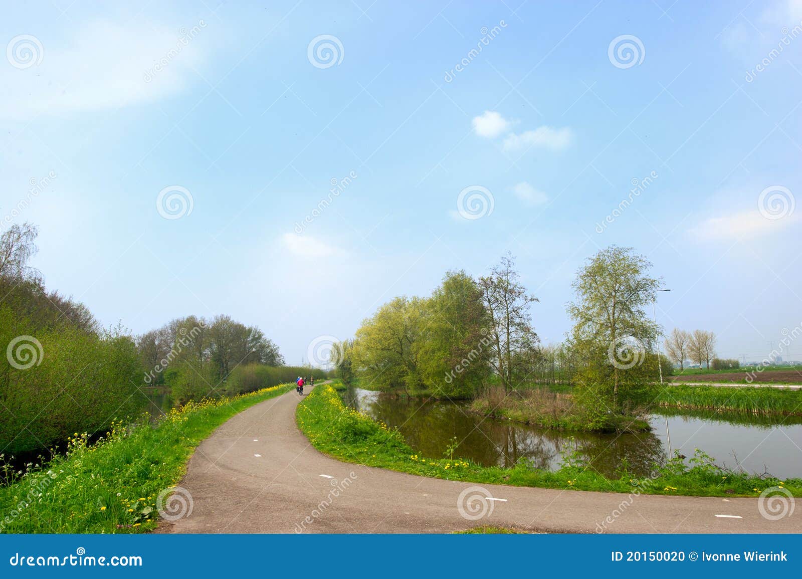 Dutch landscape with road stock photo. Image of nature - 20150020