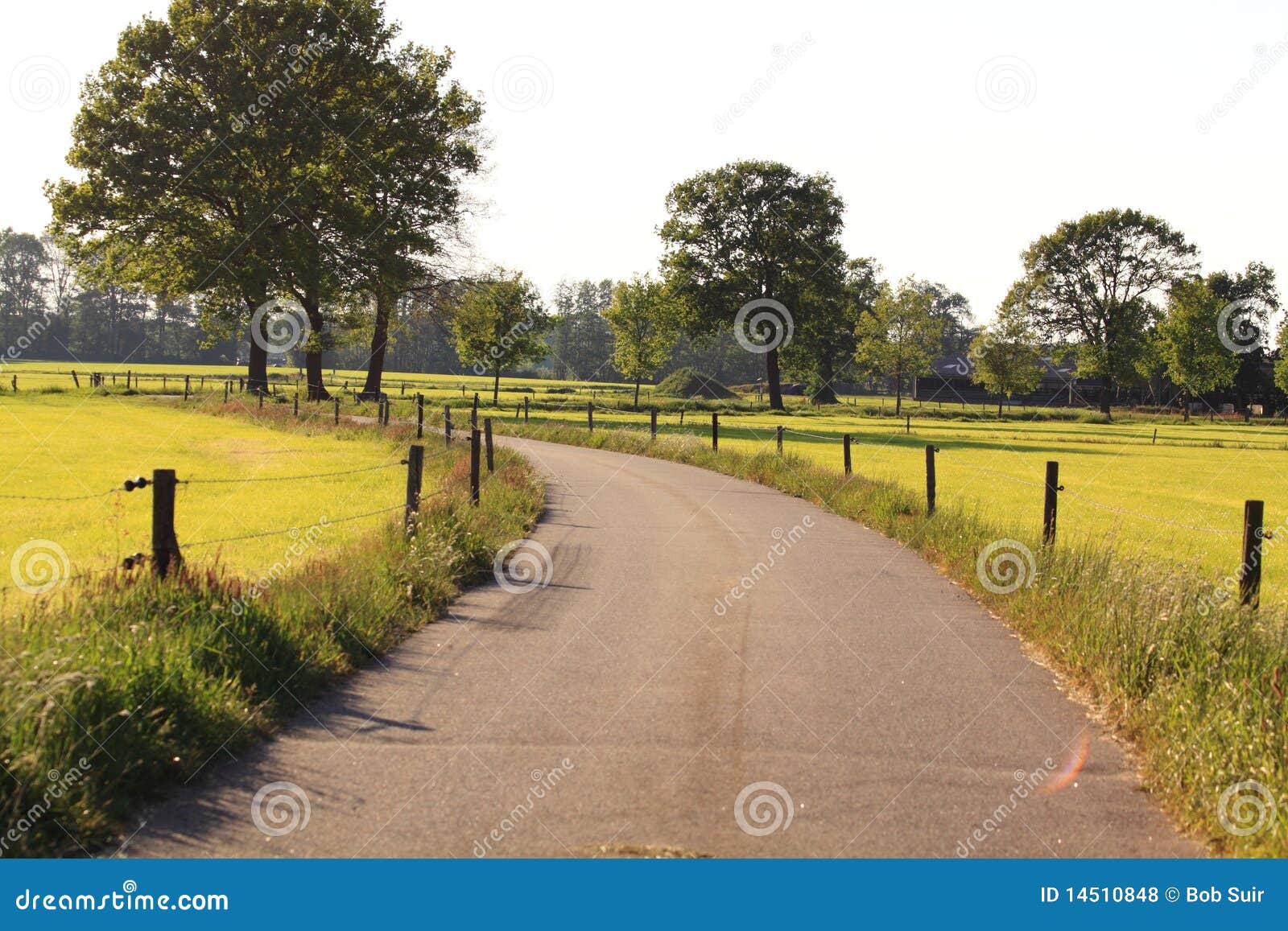 Dutch Landscape with Tarred Road Stock Photo - Image of path, farmland ...