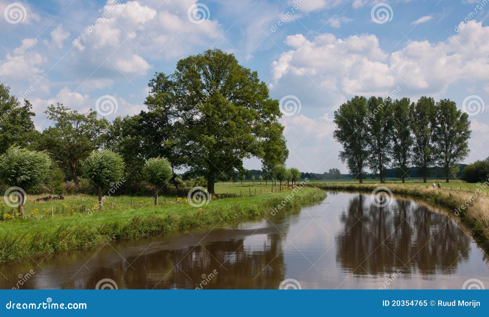 Dutch Landscape with a View Over the River Mark Stock Image - Image of ...