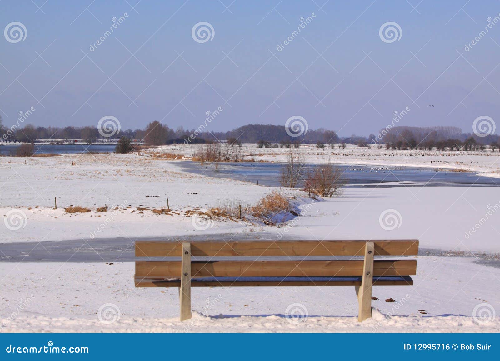 Dutch landscape in winter stock photo. Image of nature - 12995716