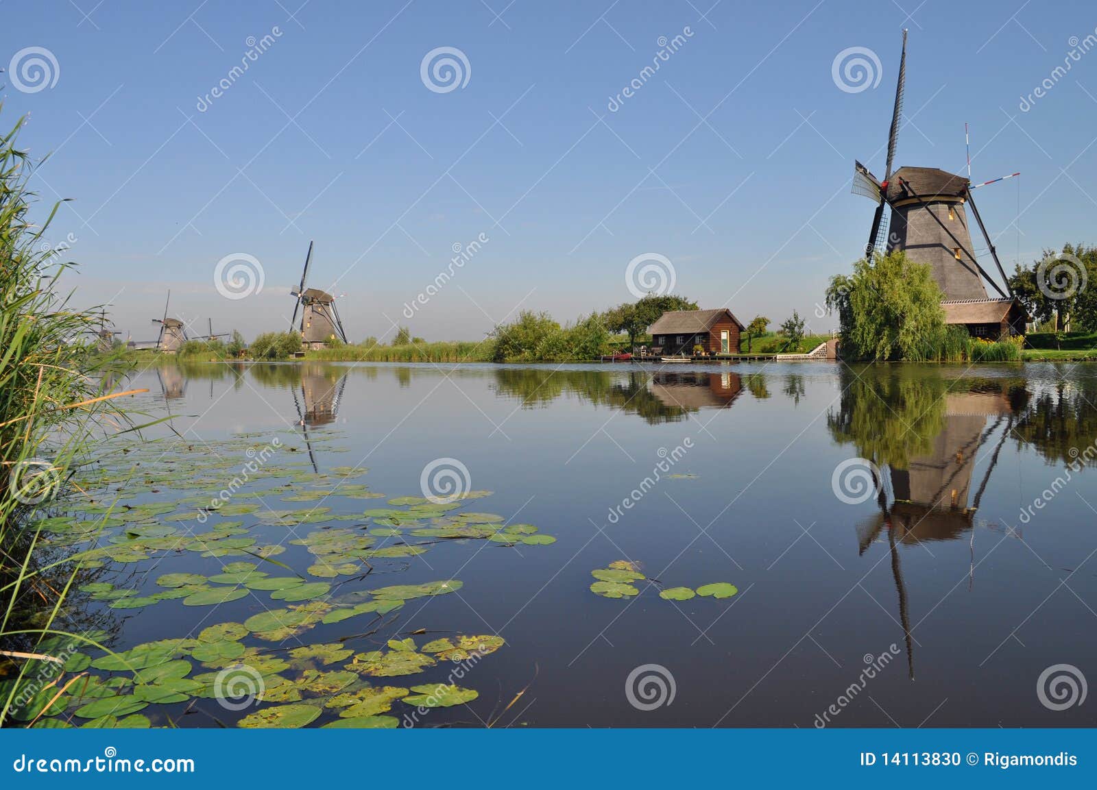 Dutch Mill Reflecting in a Canal Stock Photo - Image of green, mill ...