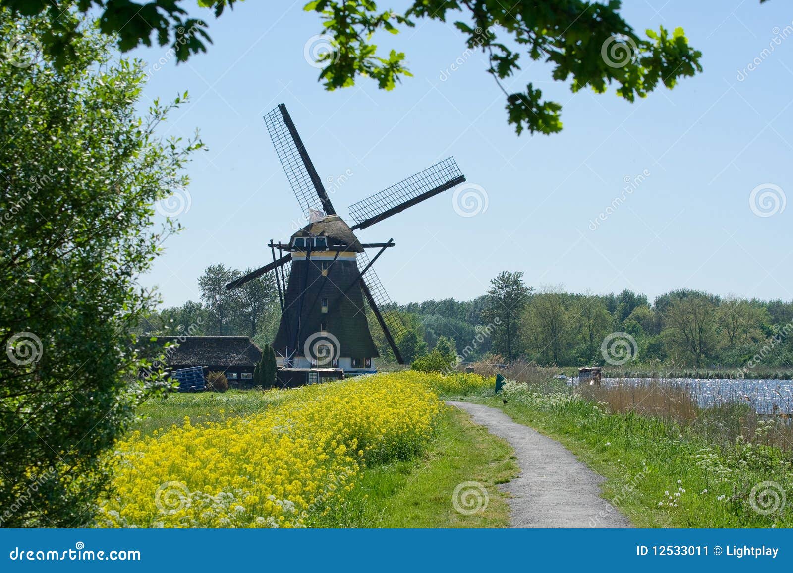 Dutch mill in spring stock image. Image of windmill, holland - 12533011