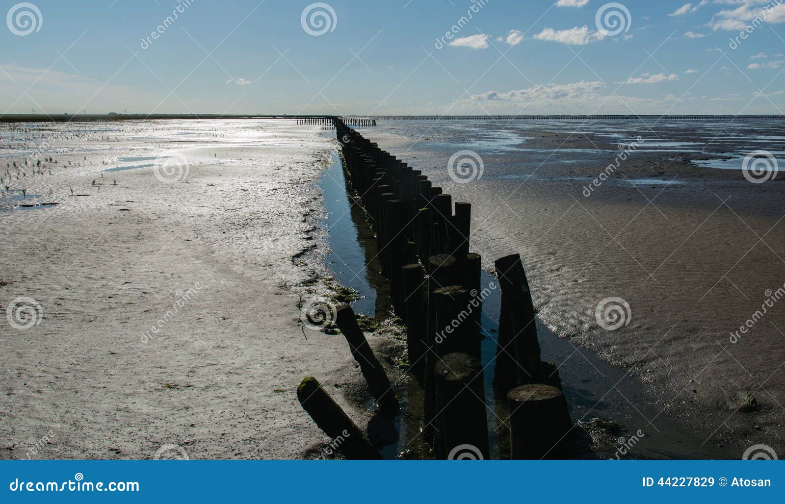 Dutch mud flats stock image. Image of sunlight, multi - 44227829