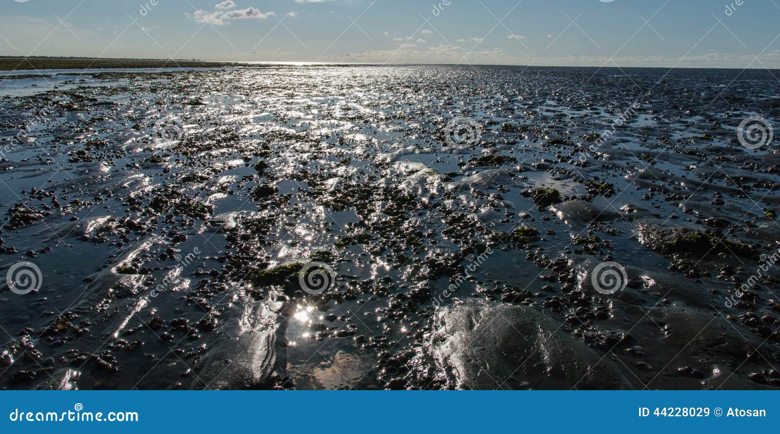 Dutch mud flats stock image. Image of dusk, fence, beauty - 44228029