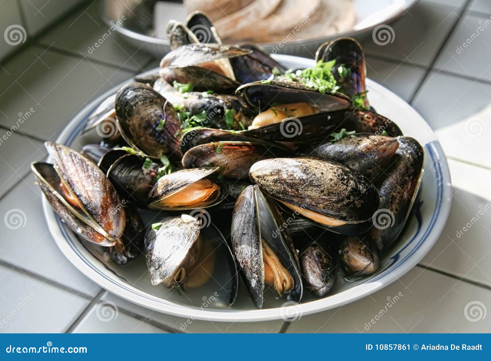 Dutch mussels stock image. Image of fish, shrimp, crawfish - 10857861