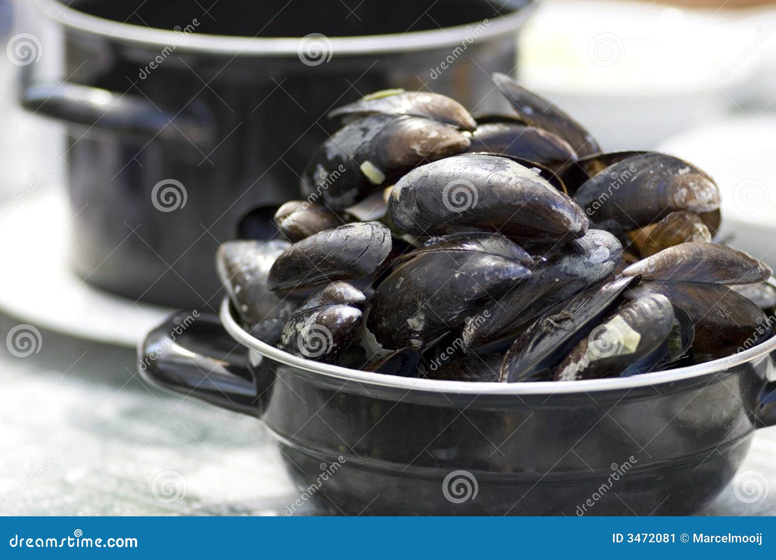 Dutch Mussels stock image. Image of food, dinner, shellfish - 3472081