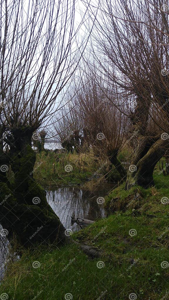 Dutch nature stock image. Image of grienden, explore - 111858735