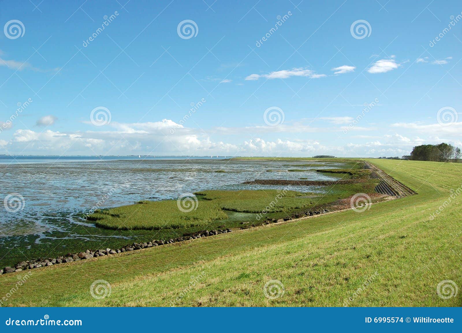 Dutch nature landscape stock photo. Image of dutch, clear - 6995574