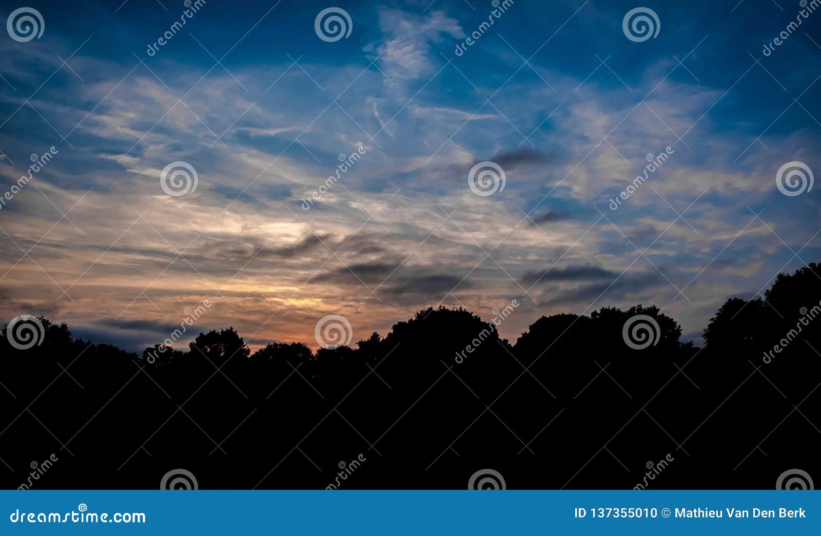 Dutch Nature Water Trees Sunset Stock Photo - Image of spring, grass ...