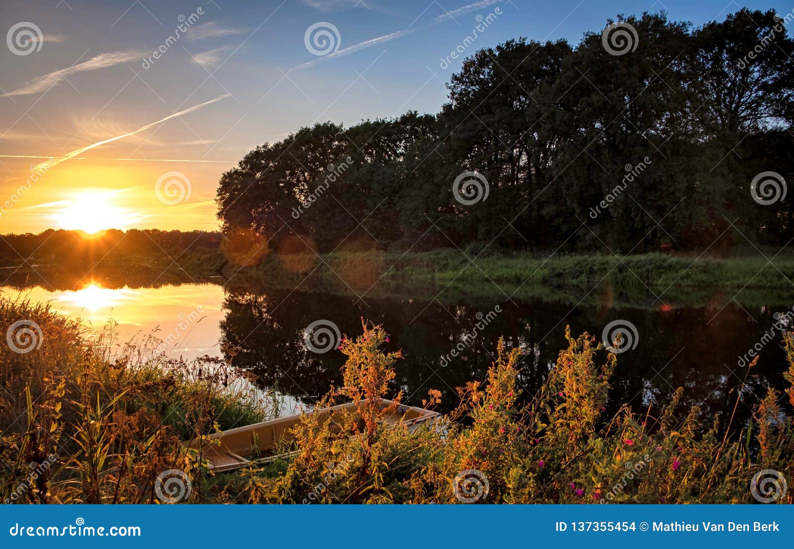 Dutch Nature Water Trees Sunset Stock Photo - Image of park, summer ...
