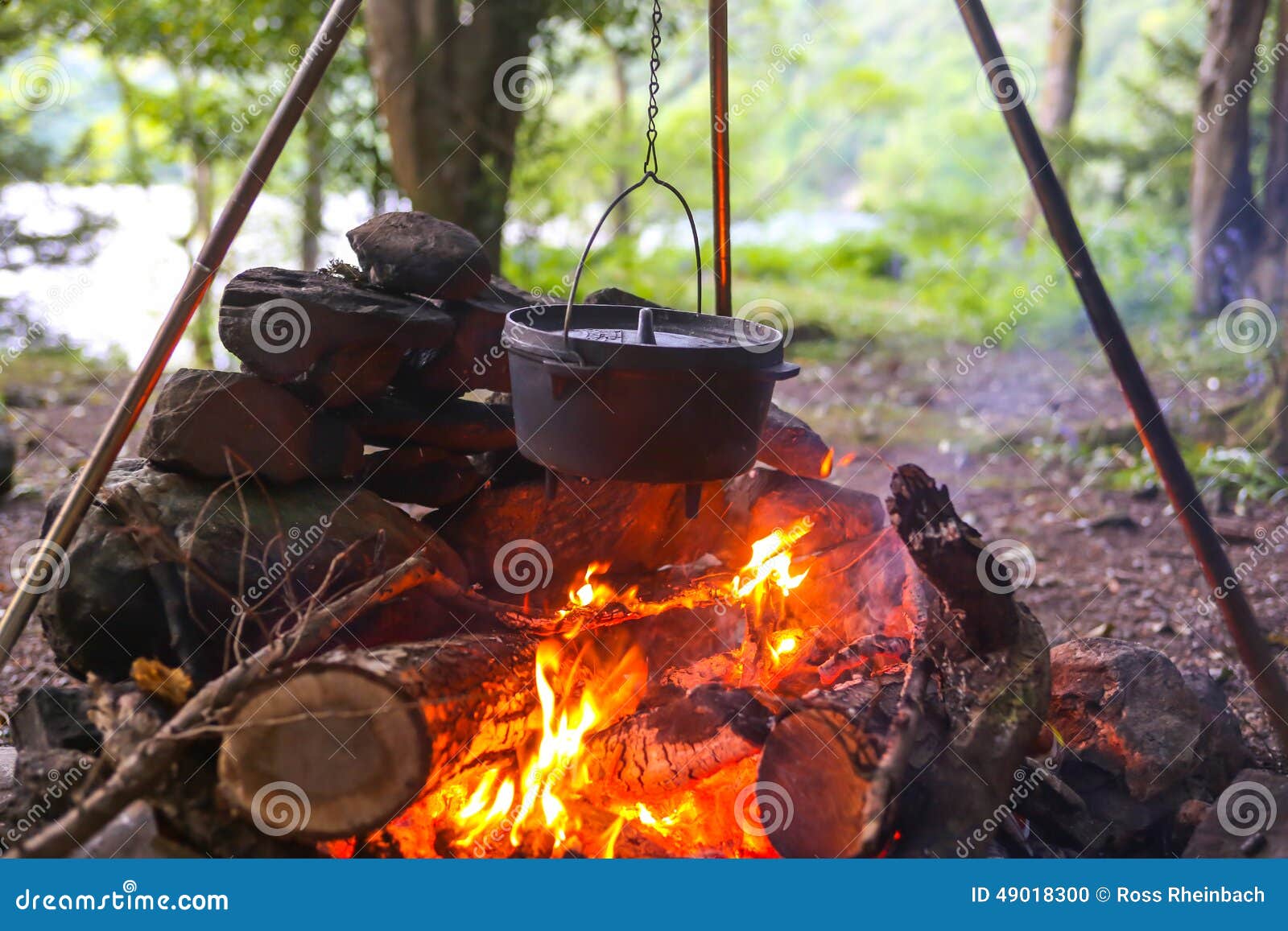 Dutch Oven in Camp Fire stock photo. Image of tripod - 49018300