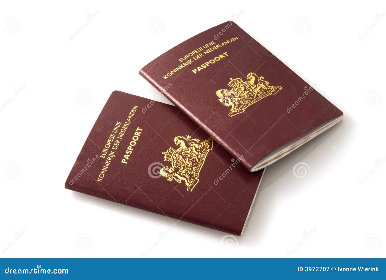 Dutch passports stock image. Image of dutch, show, official - 3972707