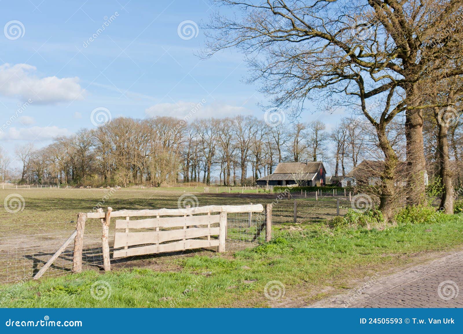 Dutch Pasture with Farmhouse and Fence Stock Image - Image of green ...