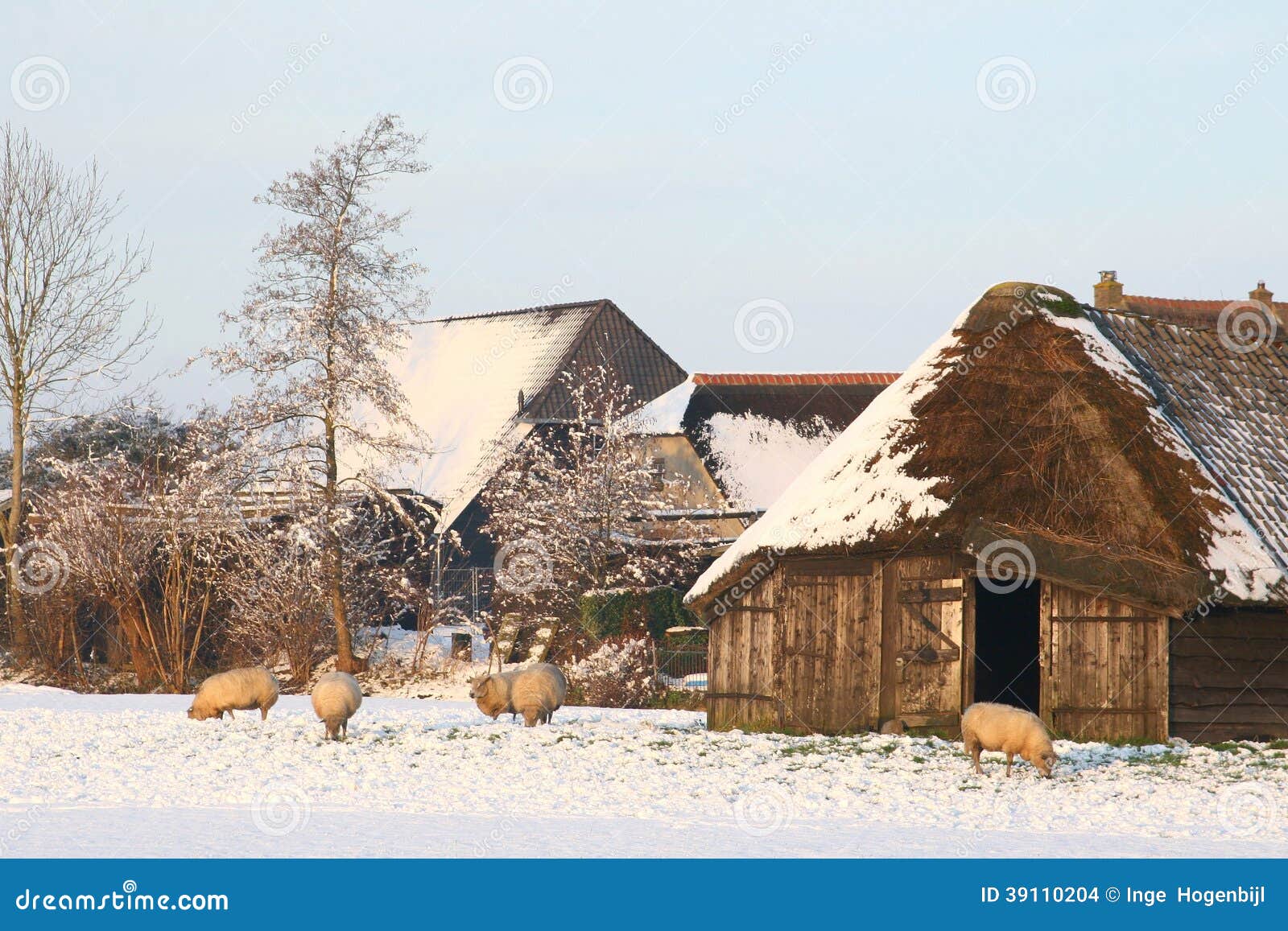 Sheep Fold Stock Image | CartoonDealer.com #38483905