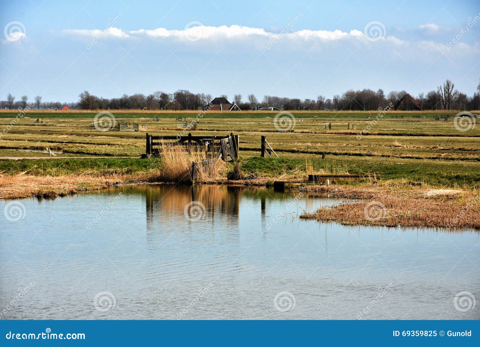Dutch polder landscape stock image. Image of ditch, canal - 69359825