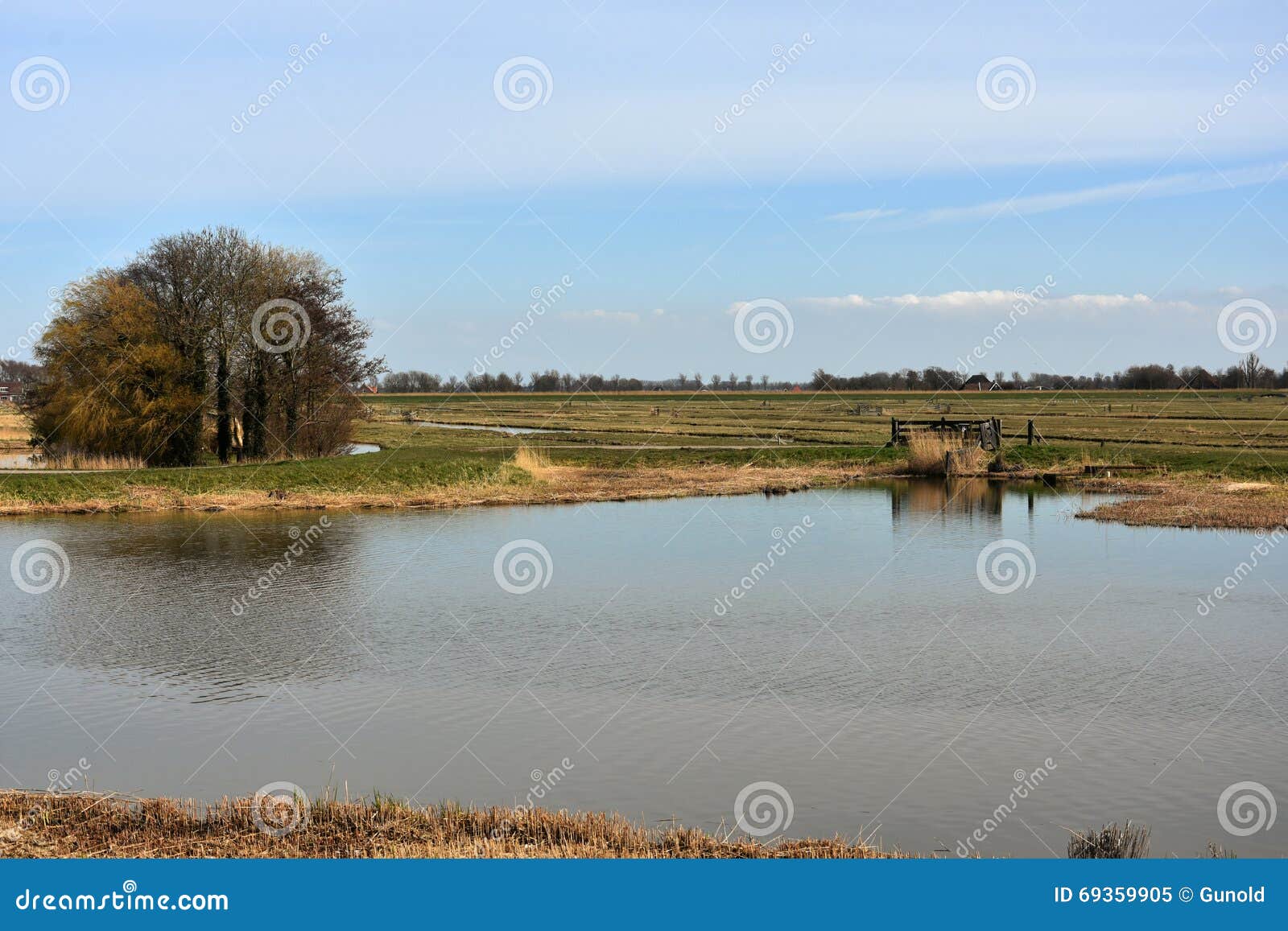 Polder Landscape Of Meadows In Banckspolder On Schiermonnikoog ...