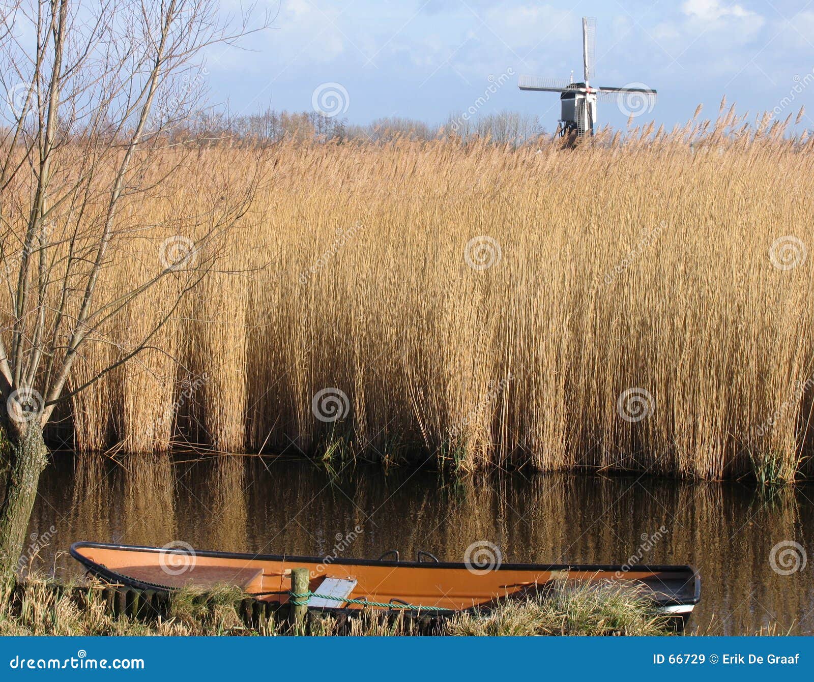 Dutch reed landscape 1 stock image. Image of electricity - 66729