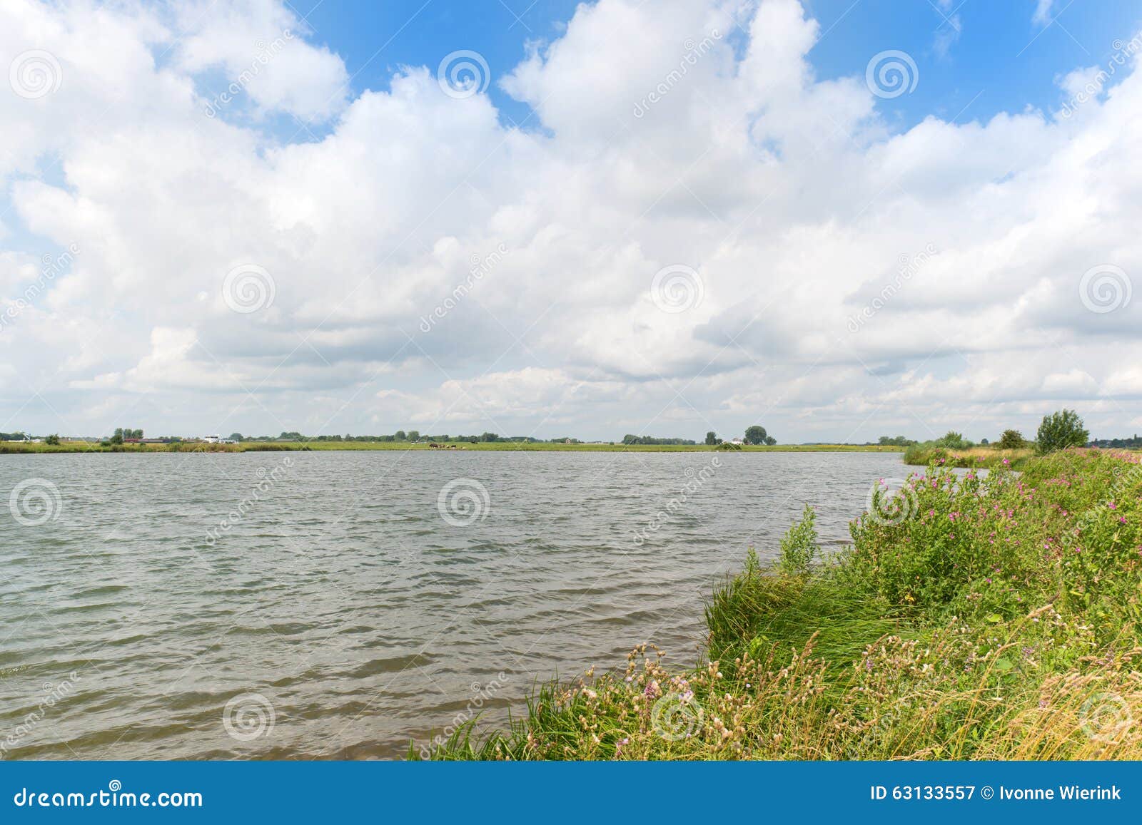 Dutch river landscape stock image. Image of utrechtse - 63133557