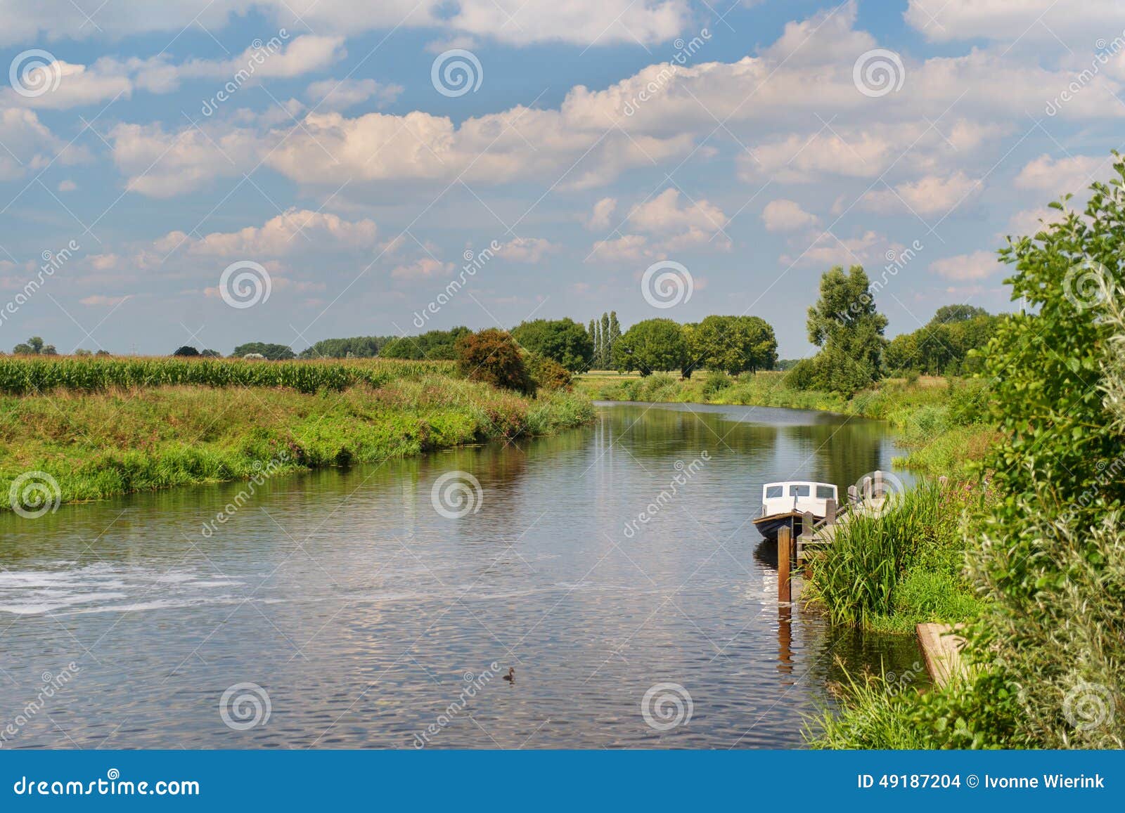 Dutch river in landscape stock photo. Image of meadows - 49187204
