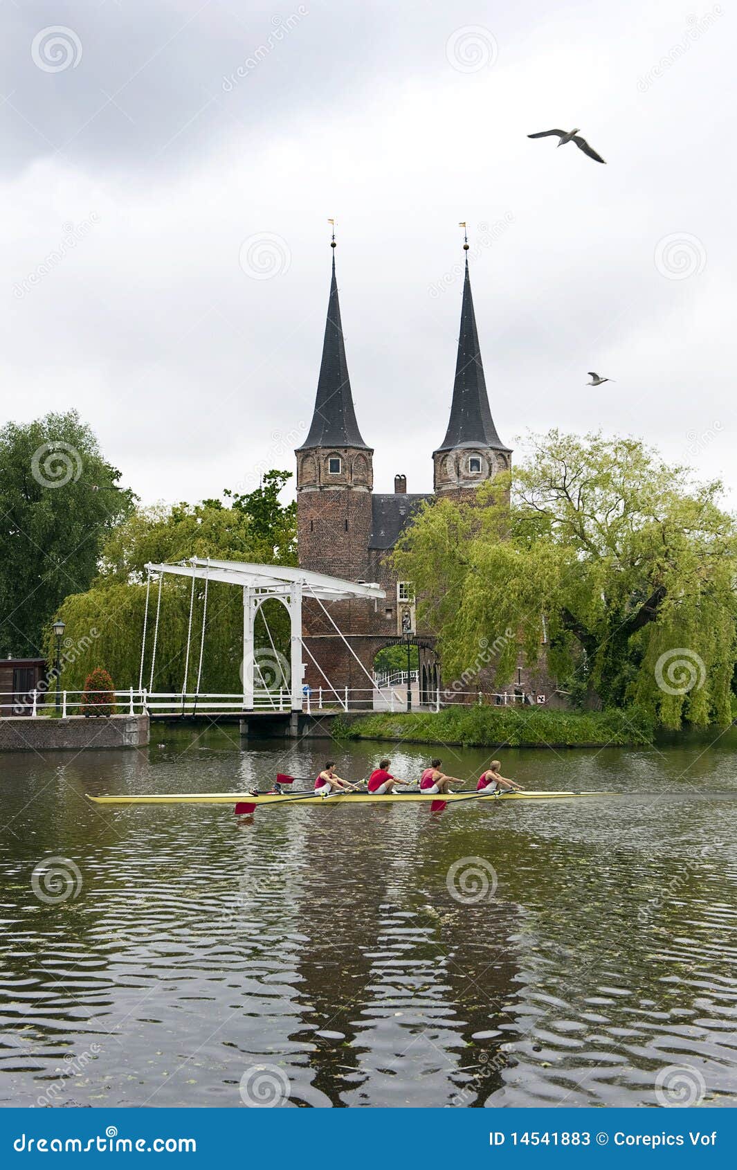 Dutch Rowing stock image. Image of reflection, netherlands - 14541883