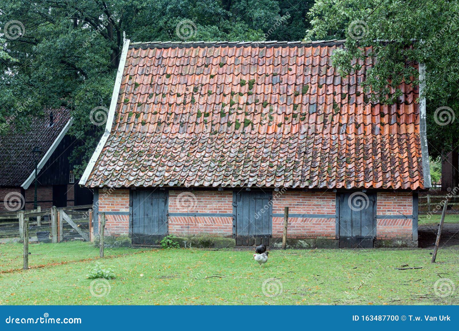 Dutch Rural Open-air Museum with Old Barn Stock Photo - Image of ...