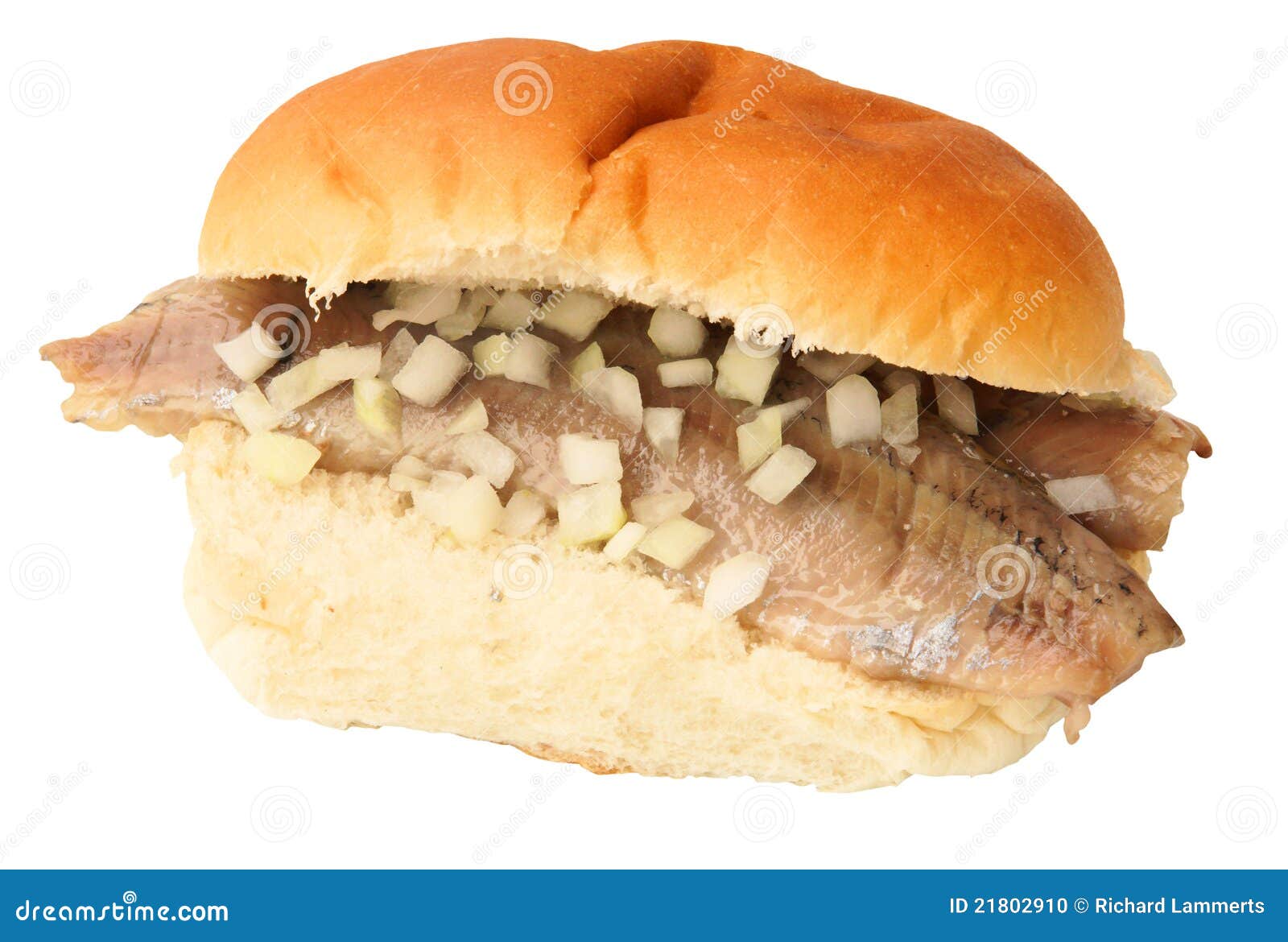 Dutch sandwich herring stock photo. Image of netherlands - 21802910