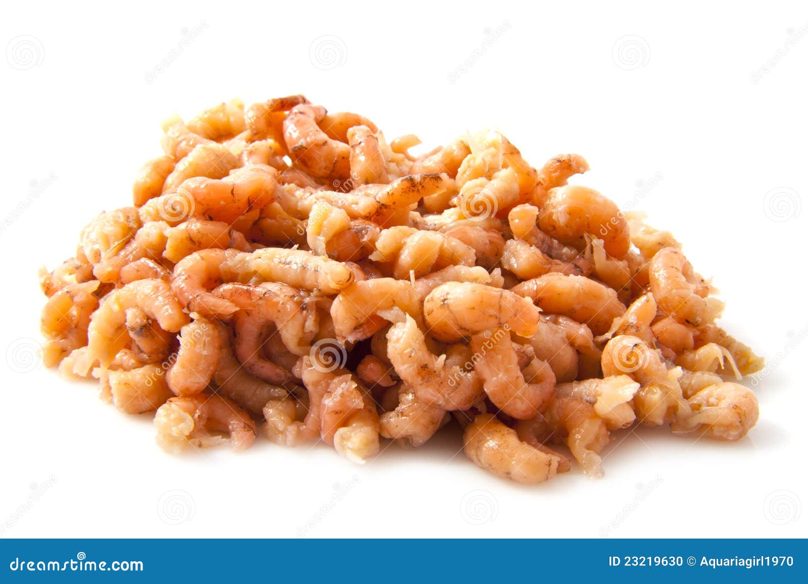 Dutch shrimp stock photo. Image of shrimps, fresh, isolated - 23219630