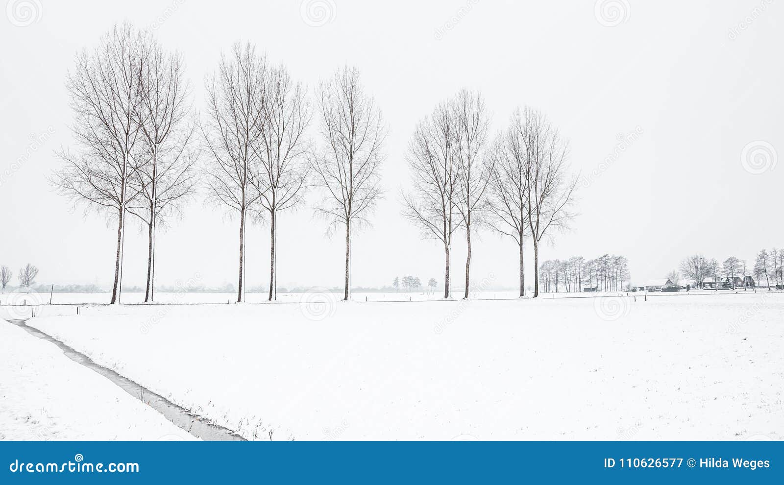 Dutch snow landscape stock image. Image of morning, branch - 110626577