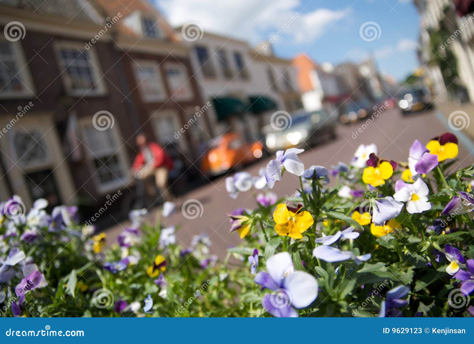 Dutch street scene stock image. Image of tourism, house - 9629123
