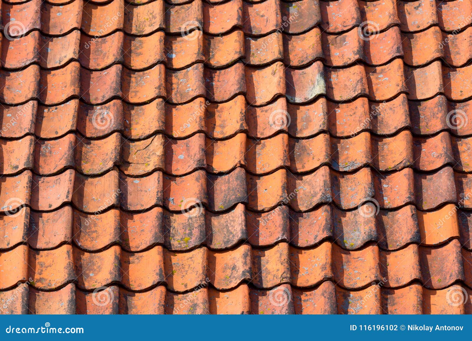 Dutch Style Red Tiled Roof. Background or Texture. Stock Photo - Image ...