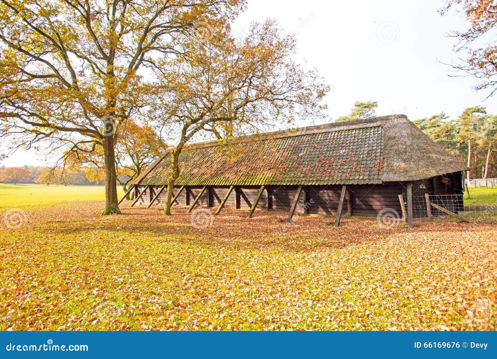 Sheep Fold Stock Image | CartoonDealer.com #38483905